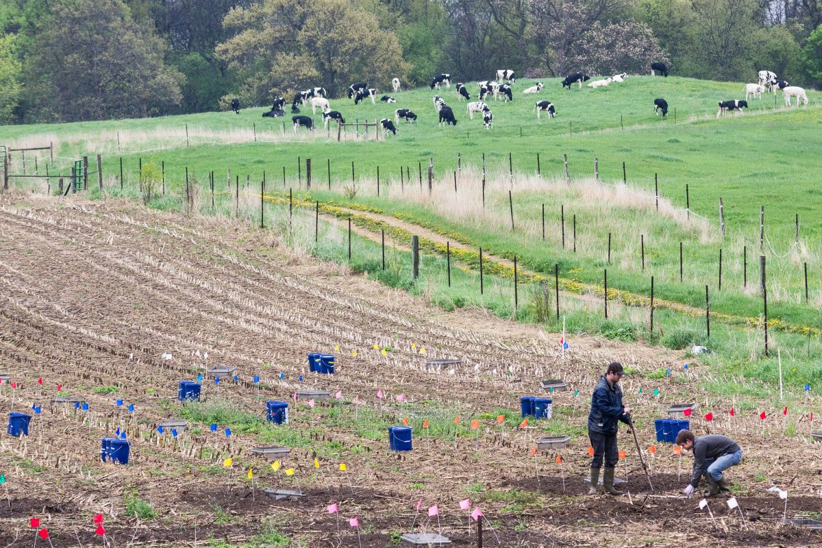 Dairy Forage Research Station – University of Wisconsin-Madison